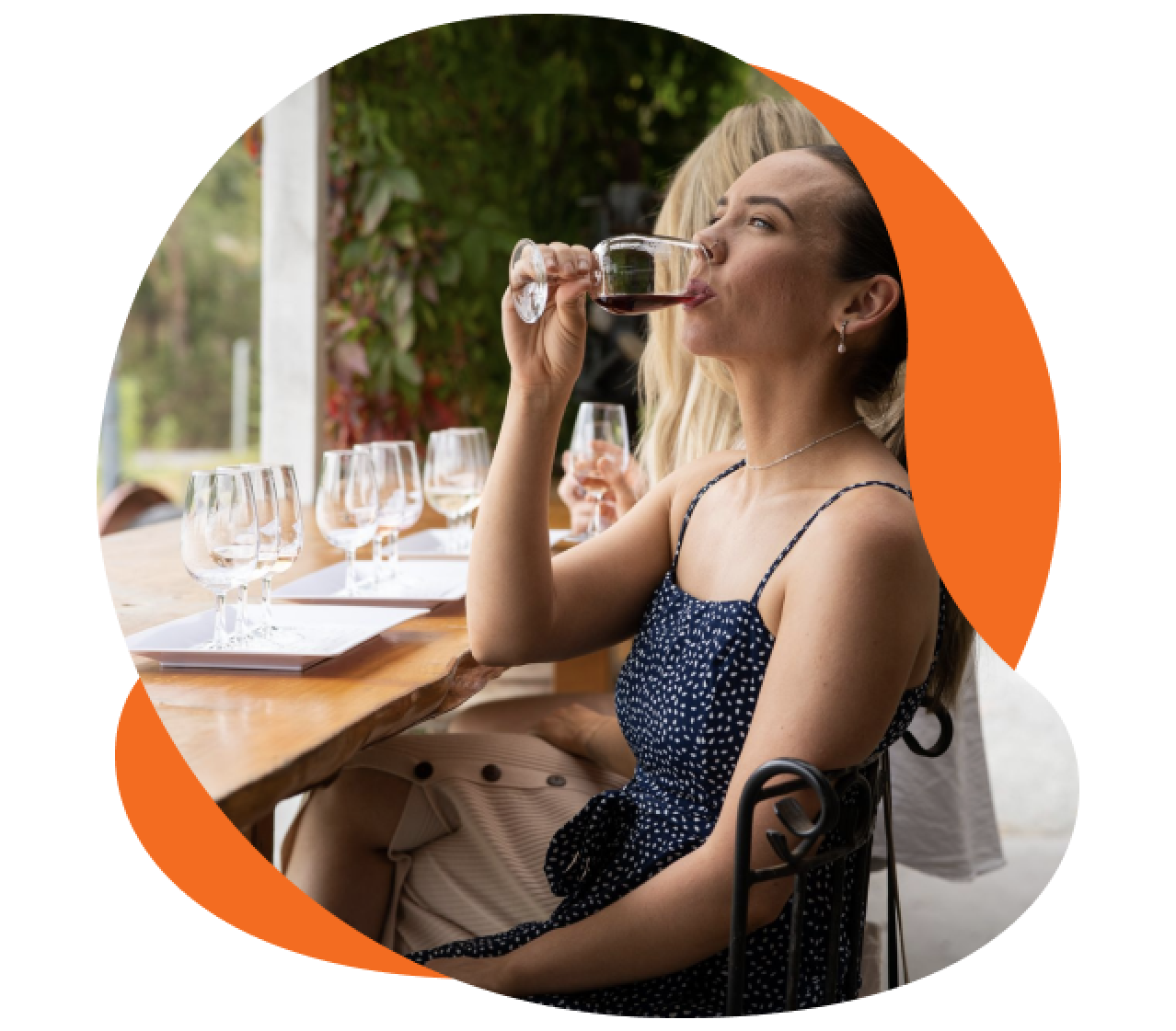 Melbourne Small Group Tours | Local Way Tours | Explore wine, wildlife ...