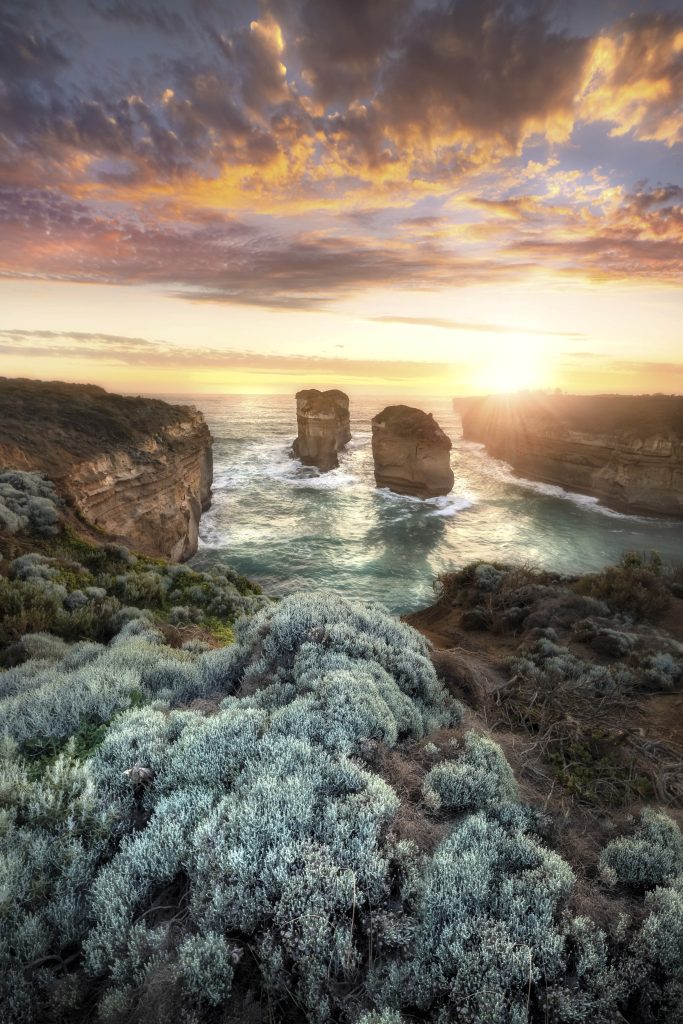 Great Ocean Road Scenic Tours | Local Way Tours | Discover the Twelve Apostles and coastal ...