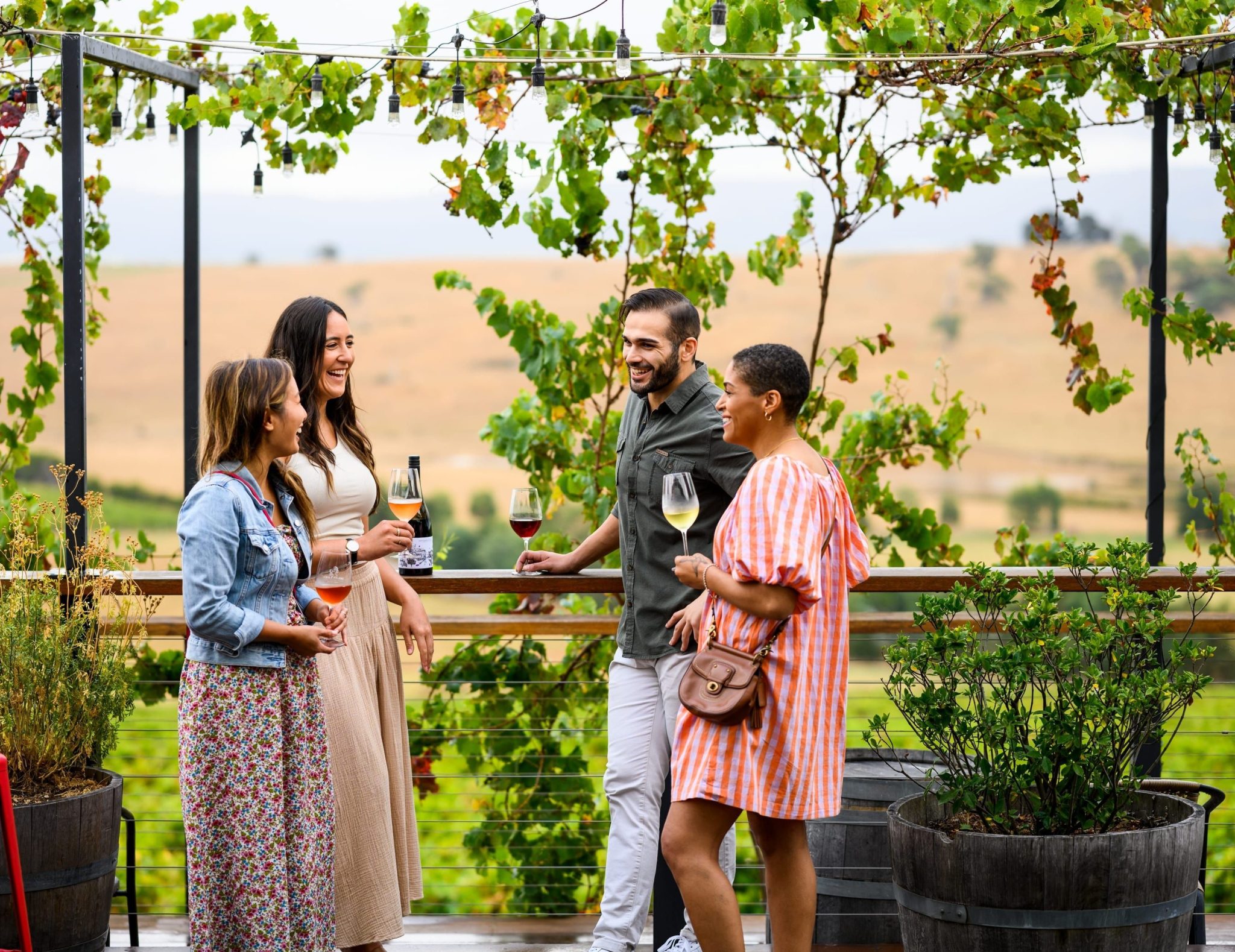 Melbourne Small Group Tours | Local Way Tours | Explore wine, wildlife ...