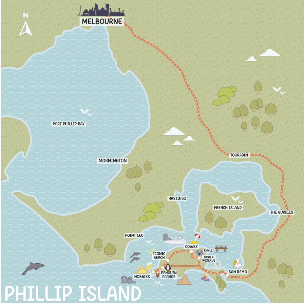 Phillip Island Wildlife Cruise and Penguin Tours | Local Way Tours