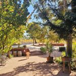 Melbourne Small Group Tours | Local Way Tours | Explore wine, wildlife ...