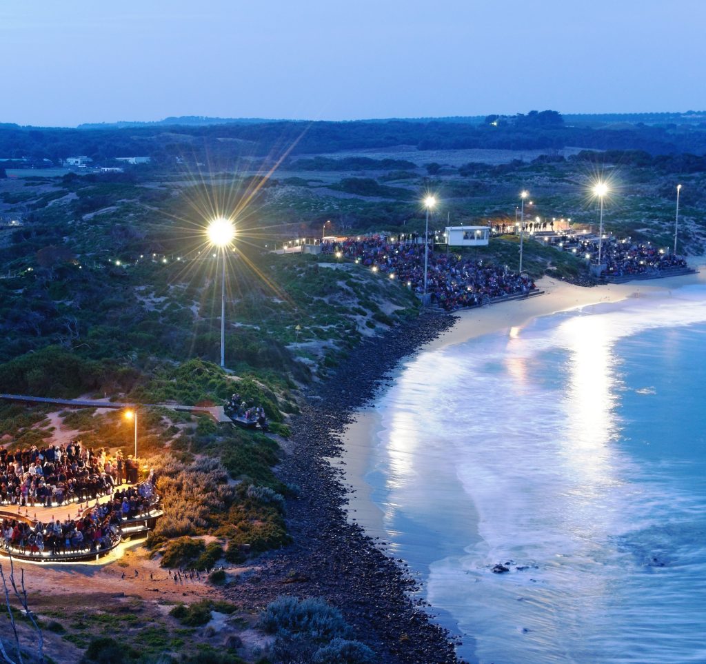 Phillip Island Hop-On Hop-Off Bus Tours | Phillip Island Tour Bus