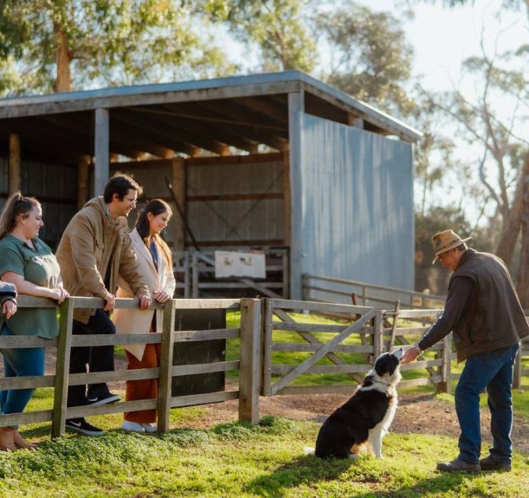 Phillip Island Hop-On Hop-Off Bus Tours | Phillip Island Tour Bus
