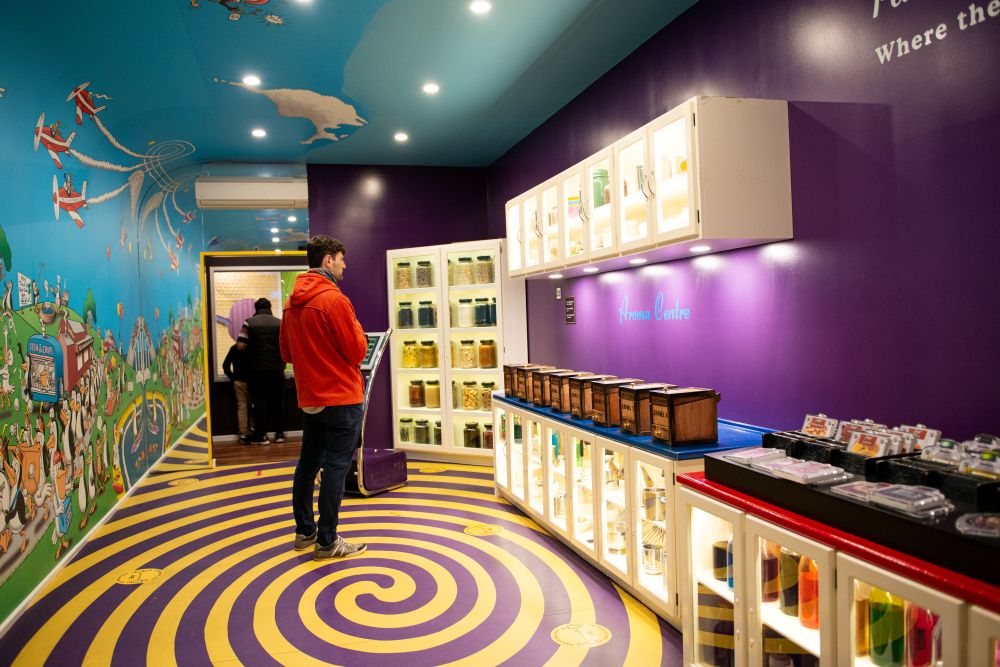 Phillip Island Explorer - Melbourne Transfers | Hop on Hop off Buss